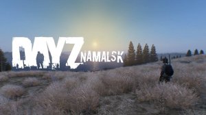 DayZ