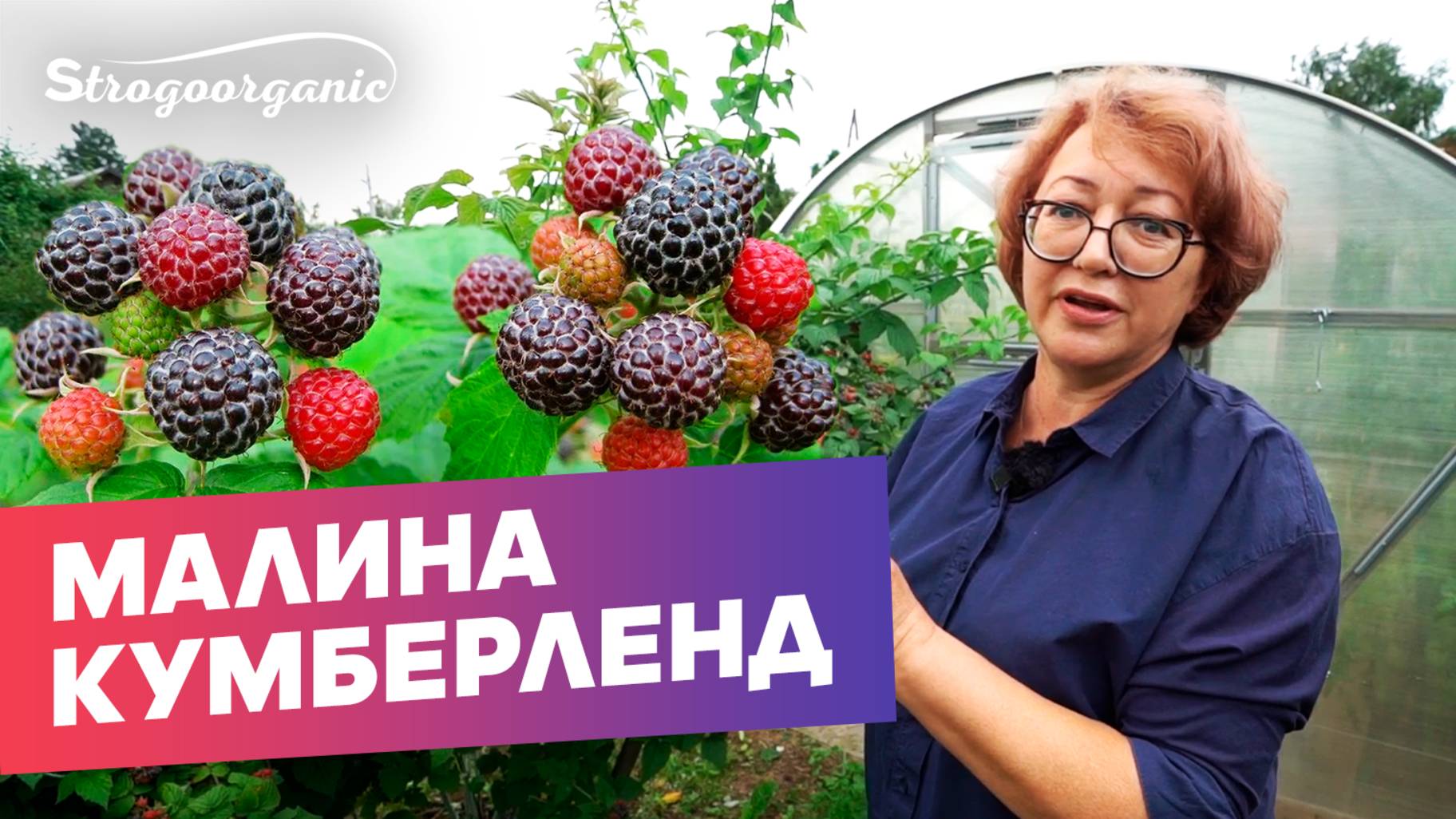 Ученицы Strogoorganic делятся секретами садоводства