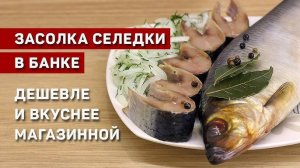 РЕЦЕПТЫ  СОЛЕНИЙ: сало, капуста и прочее...