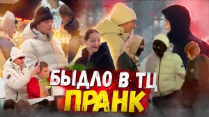 ПРАНКИ И ВЛОГИ