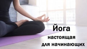 новое на канале