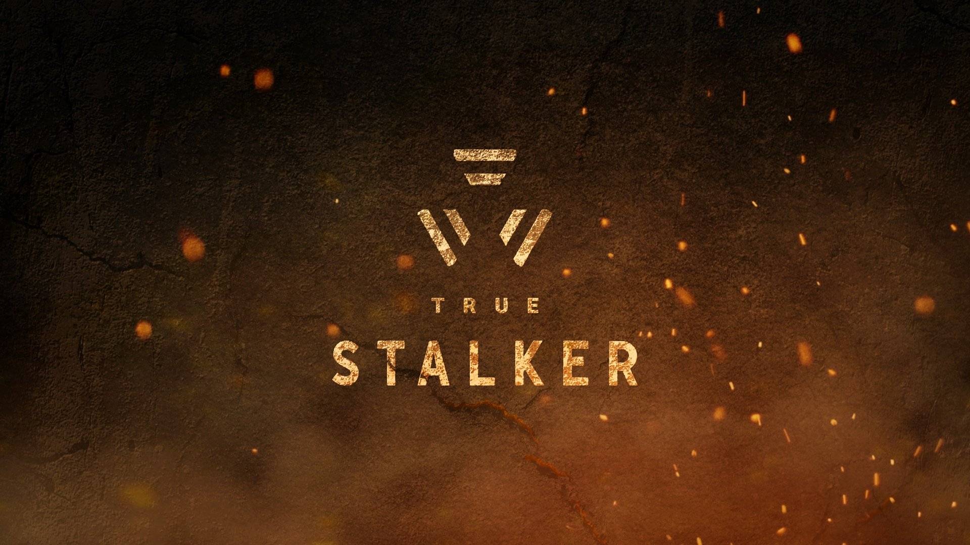 S.T.A.L.K.E.R - True Stalker ЧУДА СБОРКА