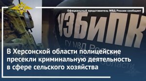 Официальный представитель МВД России Ирина Волк