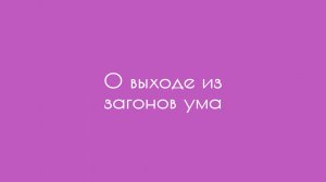 Фрагменты