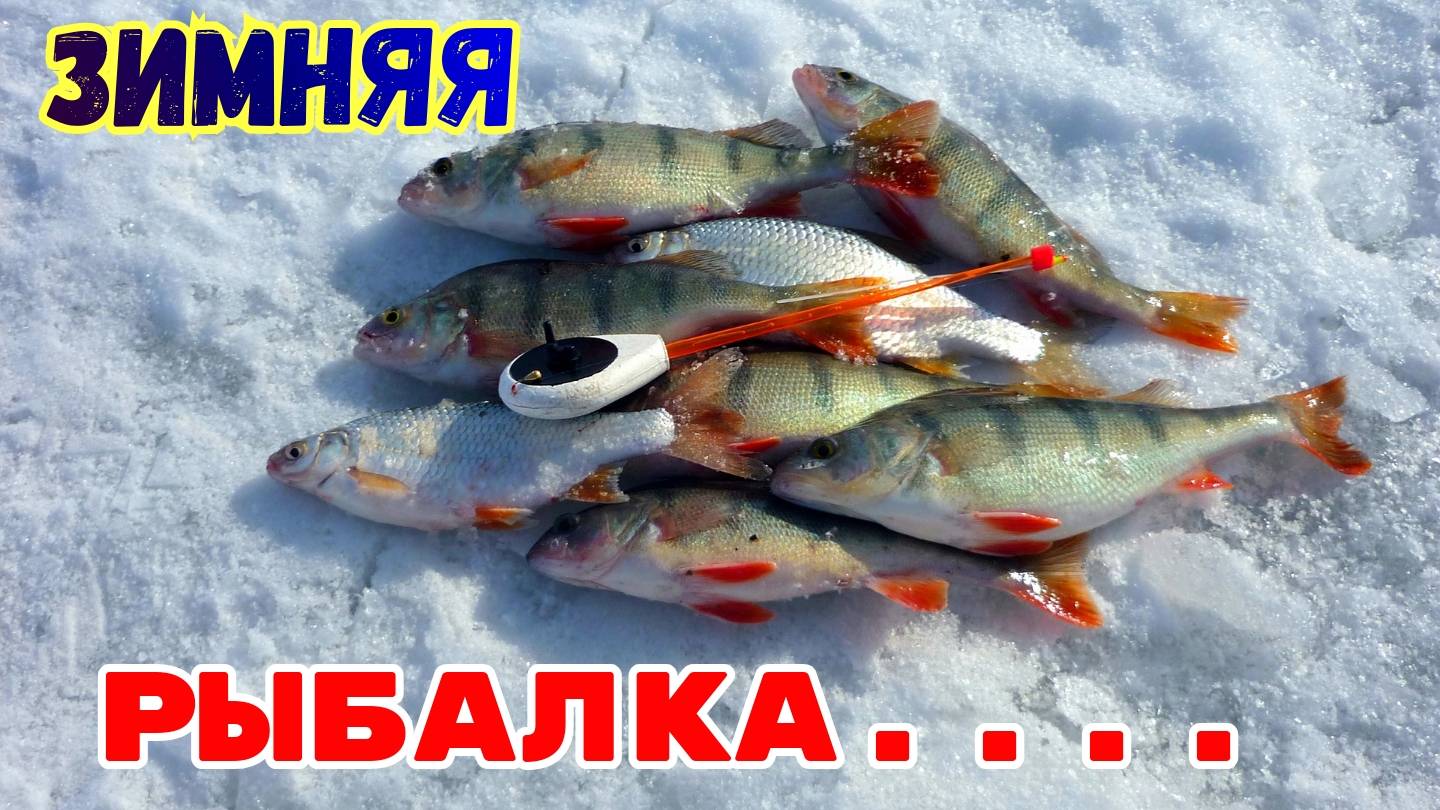 Рыбалка, грибы, походы.....