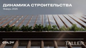 Динамика строительства TALLER