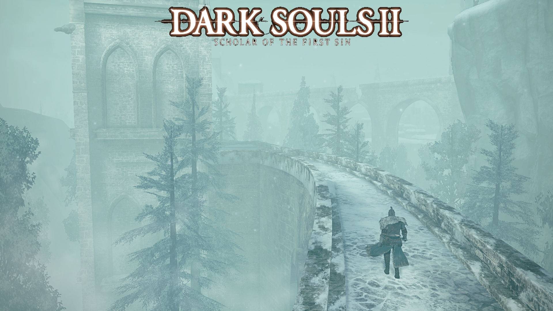 Dark Souls II Scholar of the First Sin(ковенант чемпионов)