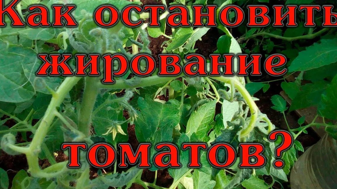 ВСЁ ПРО ОГОРОД И УХОД ЗА НИМ