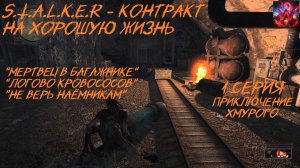 S.T.A.L.K.E.R - Контракт на хорошую жизнь (2016 год)