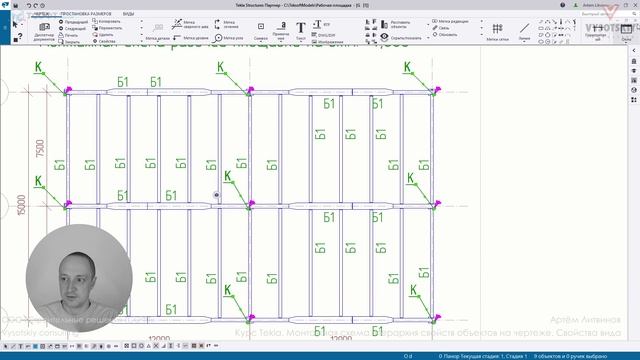 Видеокурс «Tekla»