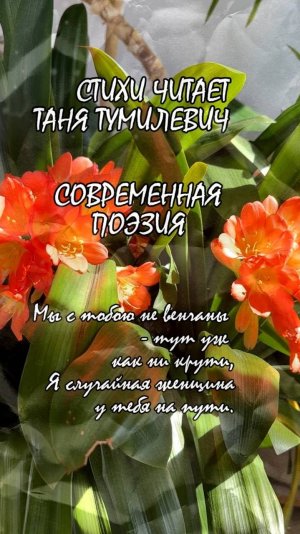 Стихи современных поэтов.