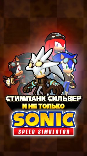 Sonic Speed Simulator