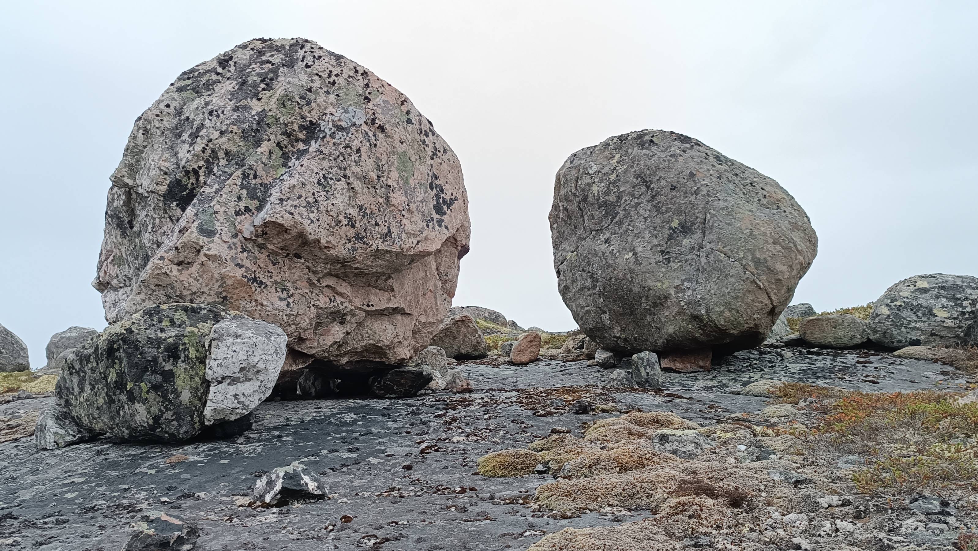 Аномалия Западная Лица