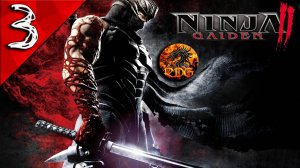 Ninja Gaiden 2 Black