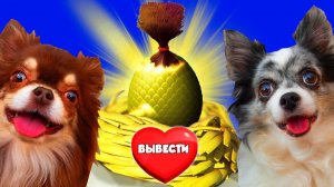 Волшебные питомцы