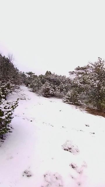 Зима в Новом Свете.