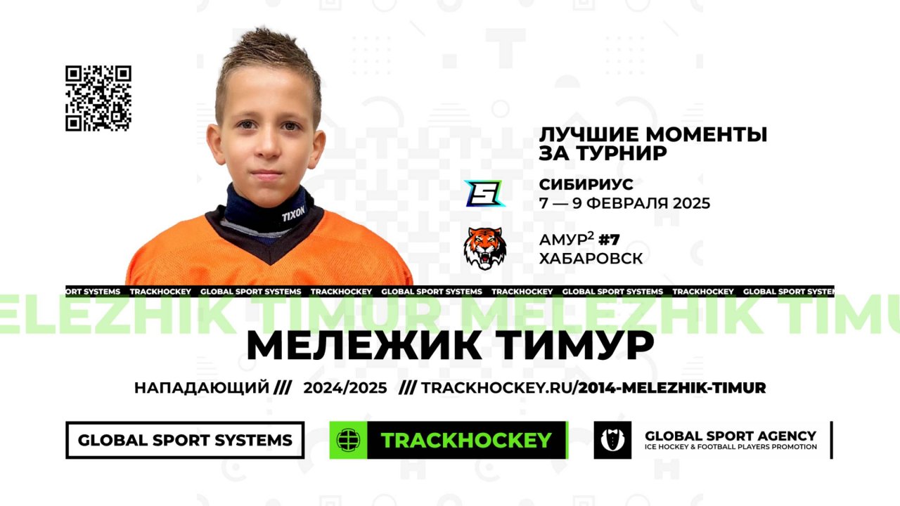 Игроки TrackHockey