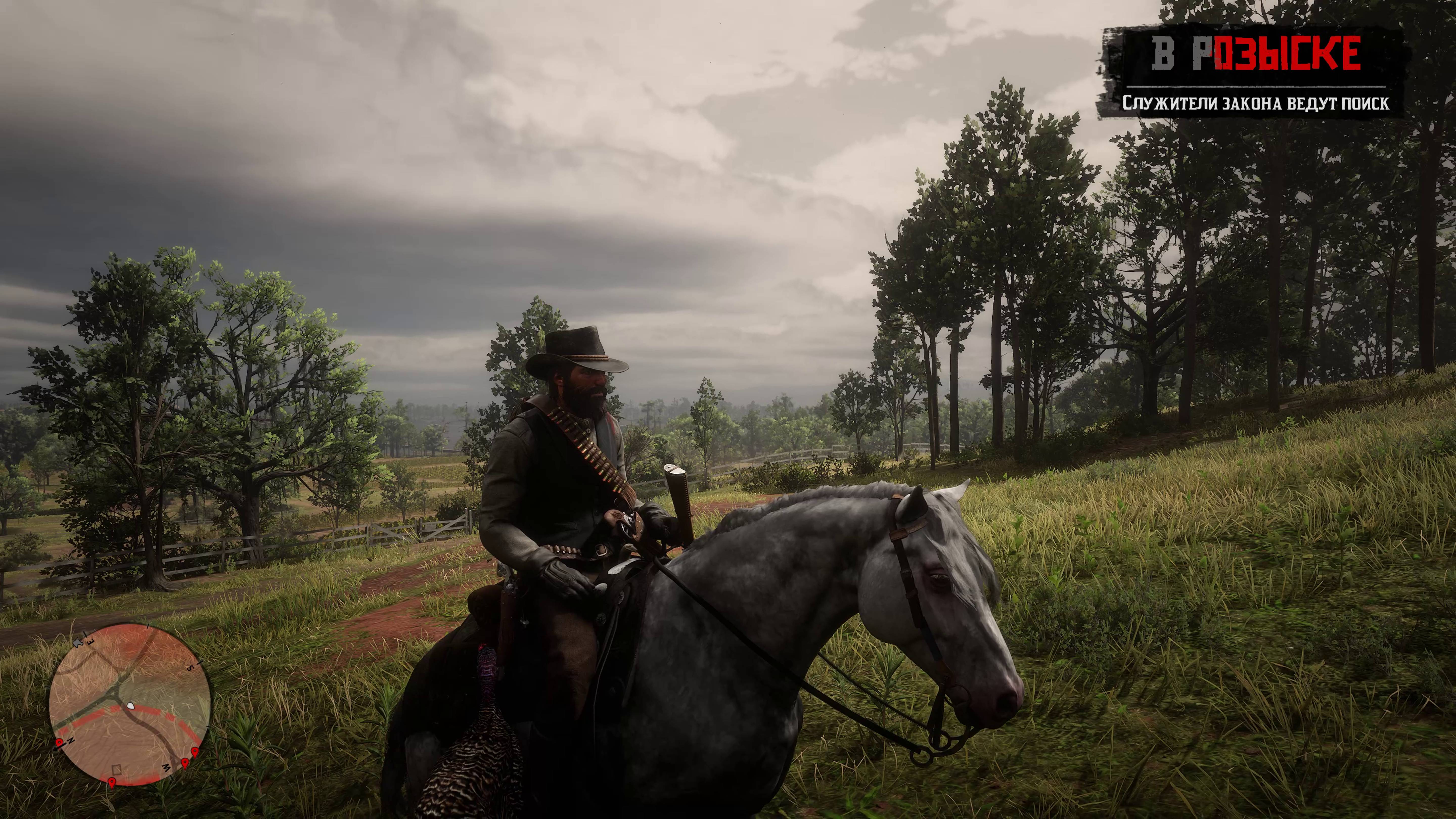 RDR 2 , 4K, Ultra Graphics.