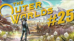 The Outer Worlds