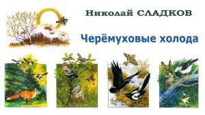 Рассказы и сказки Николая Сладкова