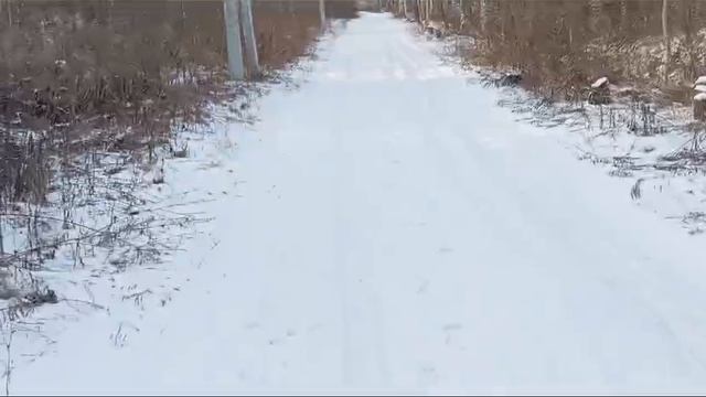 Переезжайте за город (Все выпуски)