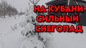 Наши знакомые и друзья