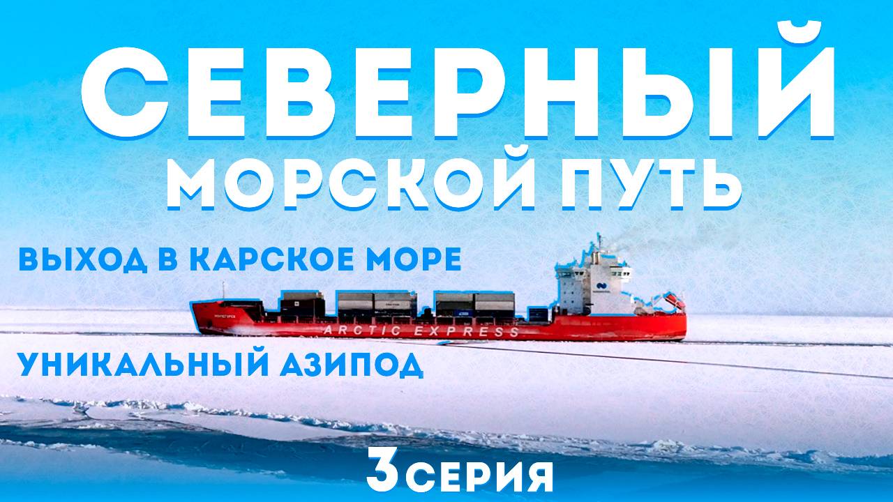 По Северному морскому пути на «Мончегорске»