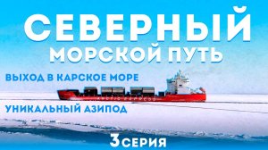 По Северному морскому пути на «Мончегорске»