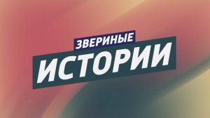 ВЕСТИ-КРЫМ: ЗВЕРИНЫЕ ИСТОРИИ