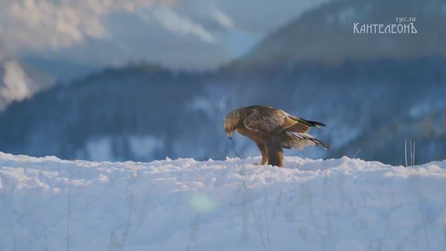 Красивая музыка для души слушать подряд без перерыва онлайн.