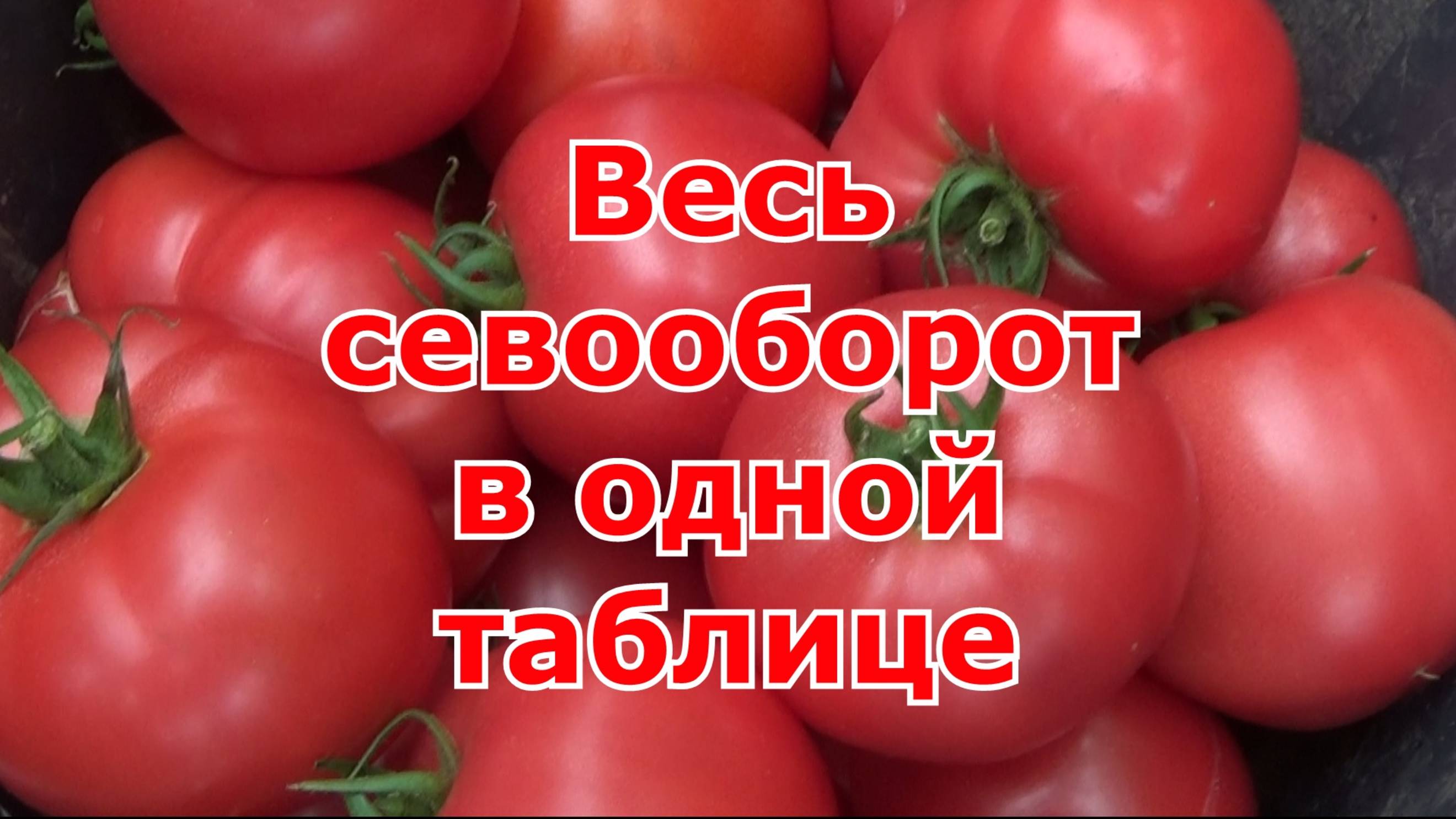 Работы в теплице, саду и огороде