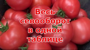 Работы в теплице, саду и огороде