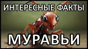 Интересные факты о животных