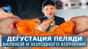 г. Новосибирск. Дмитрий, ″ВЯЛИМ и КОПТИМ″.  Сушильно-вялочный шкаф 550 л.