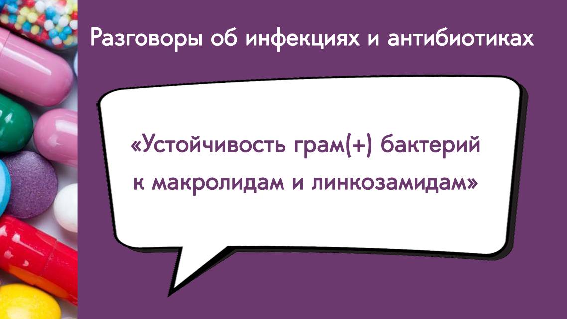 Разговоры об инфекциях и антибиотиках