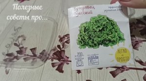 Полезные советы для дачи и сада