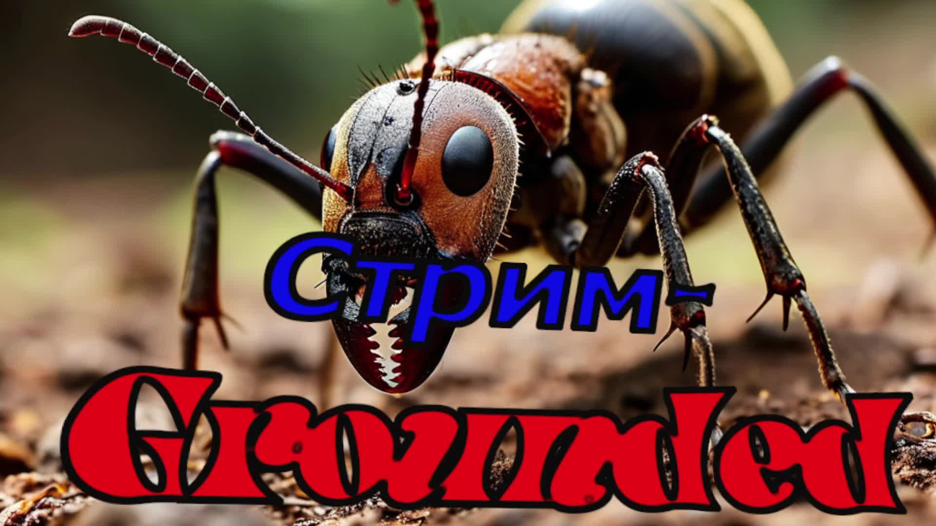 Записи стримов здесь