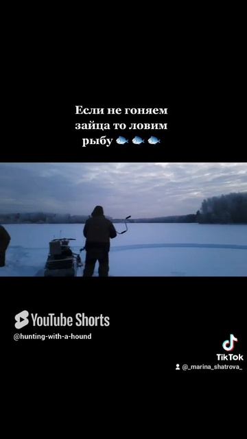 Если не гоняем зайца - то ловим рыбу🐟🐟🐟.