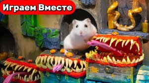 Играем с животными !