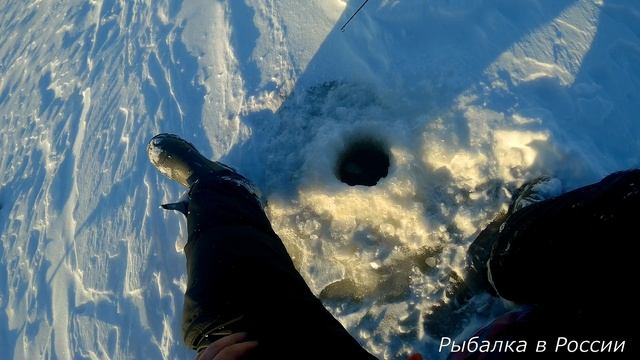 Ловля окуня и щуки со льда на Ратлины, Vib , балансир, зимние блесны.