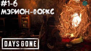 Days Gone / Жизнь После