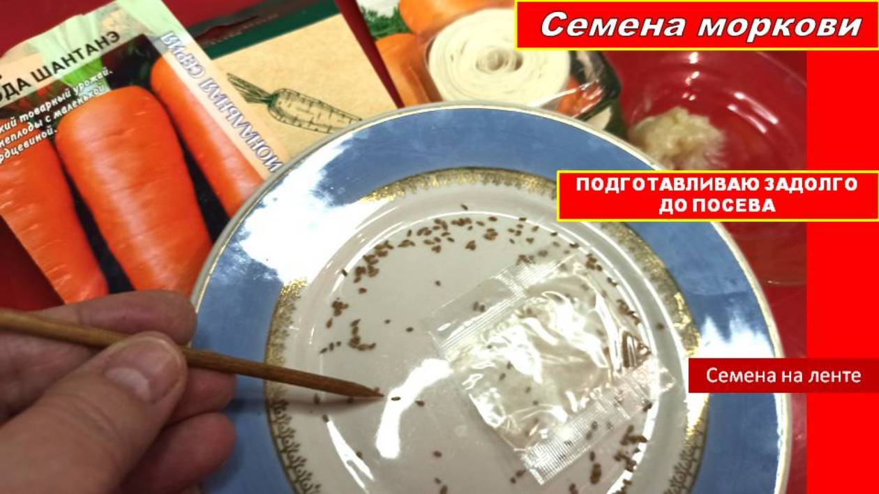 СЕМЕНА И СОРТА ОВОЩЕЙ,ЦВЕТОВ