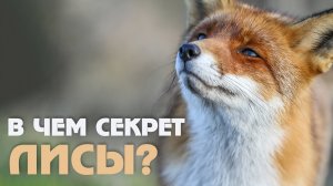 Евразия. Познаем вместе