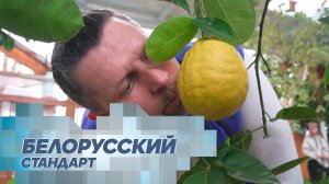 Белорусский стандарт