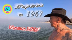 #Абхазия2025 🌴 ХУдЕЕМ С СЕРЫМ ВОЛКОМ!