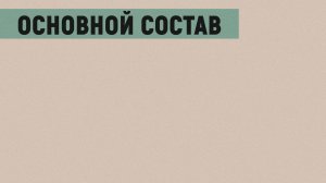 Основной состав