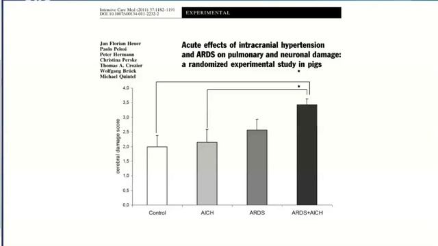 Полупан А.А.