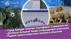 Новости ″Большой Азии″