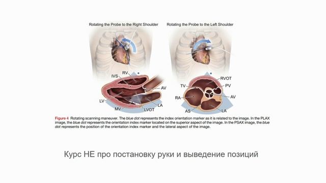 Промо ролики из курсов