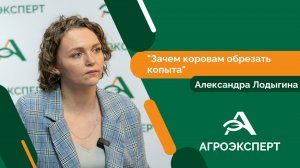 Агроэксперт: интервью